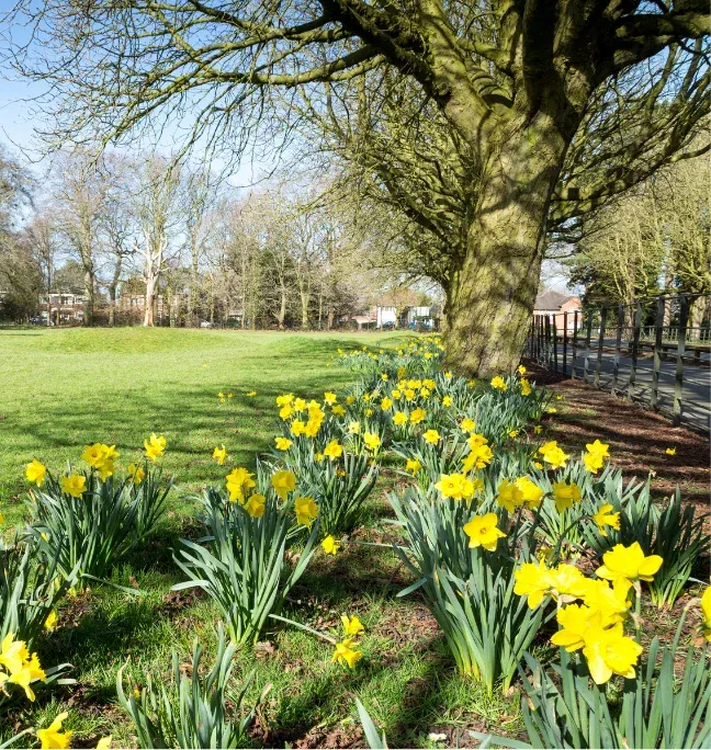 Waste and recycling - Wythenshawe Community Housing Group
