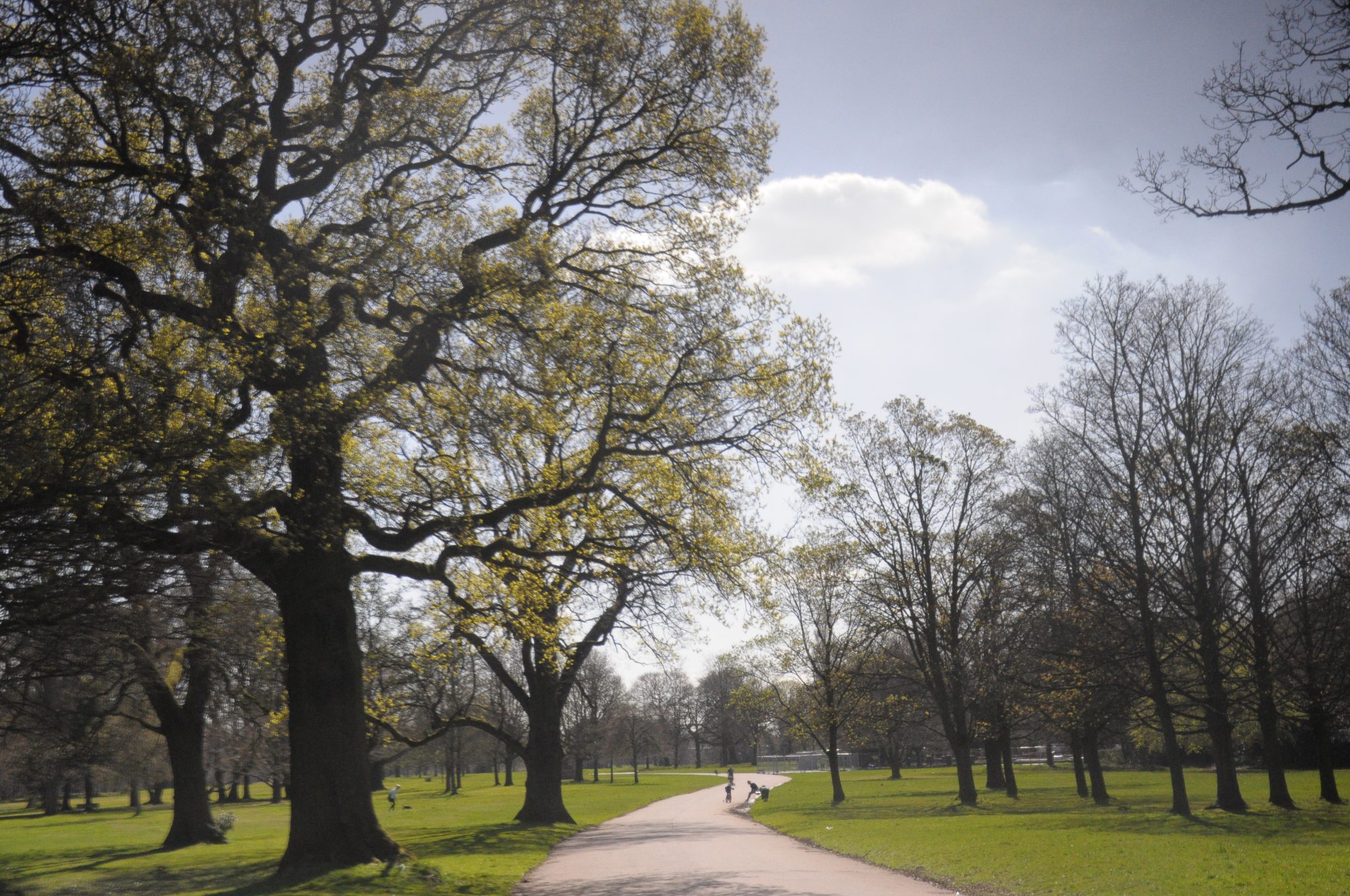 Wythenshawe Park - WCHG